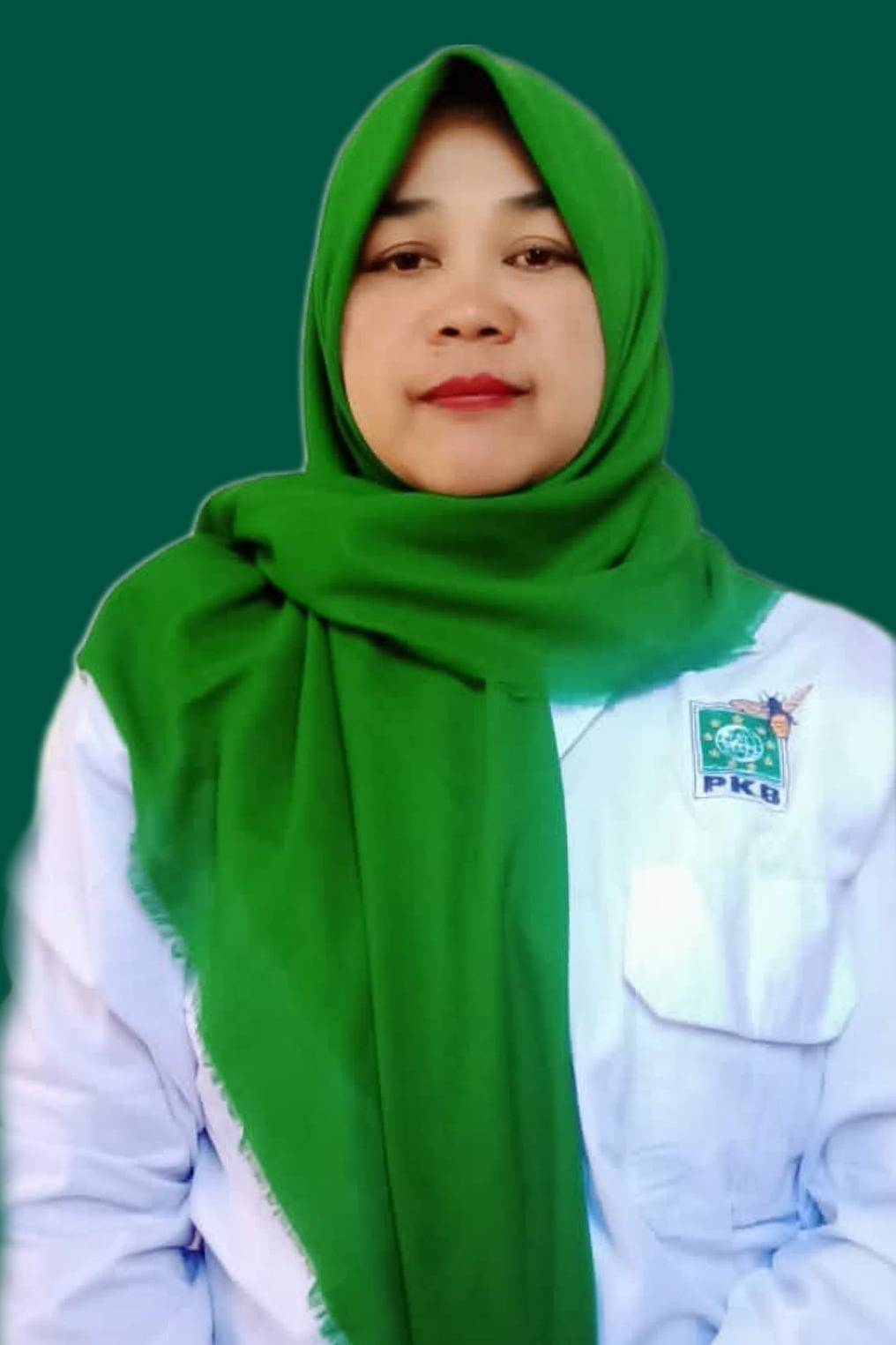 Profil ANA FIKA - Info Pemilu
